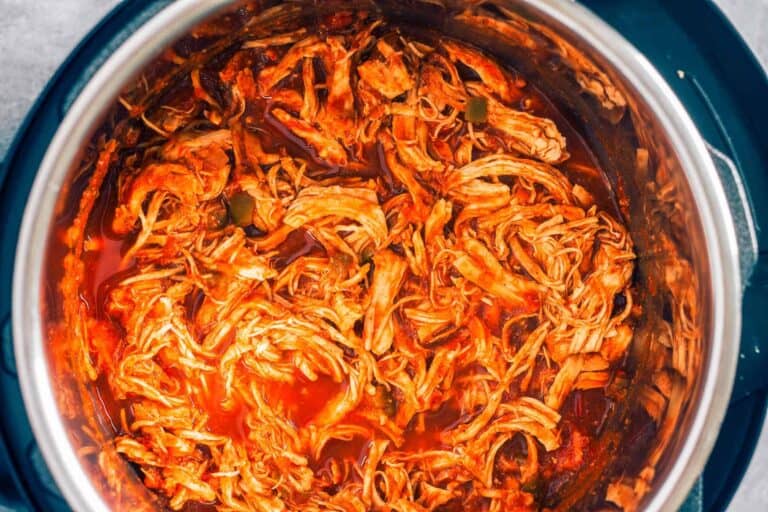 Instant Pot Salsa Chicken Recipe - Easy Chicken Recipes