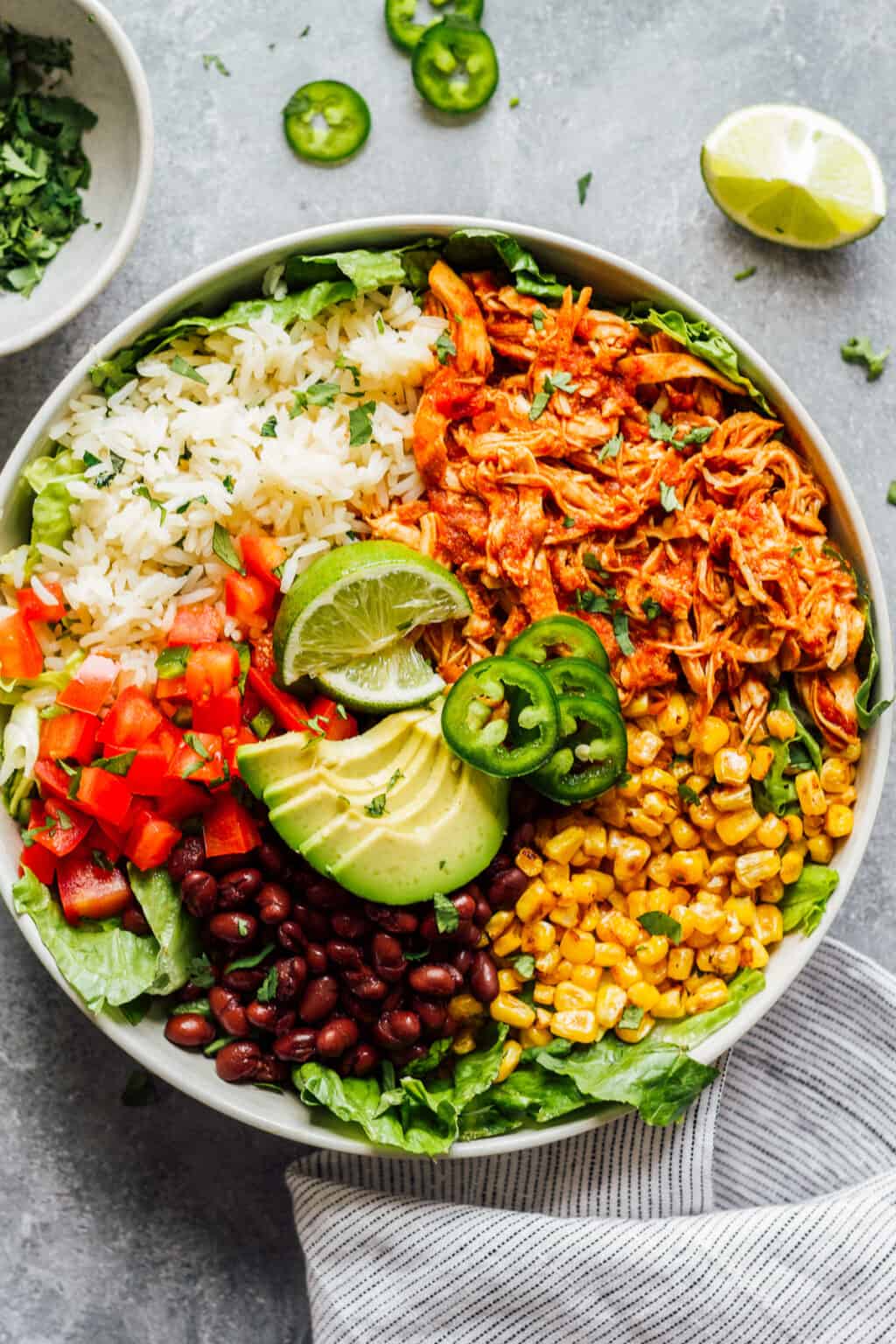 Instant Pot Salsa Chicken Recipe - Easy Chicken Recipes