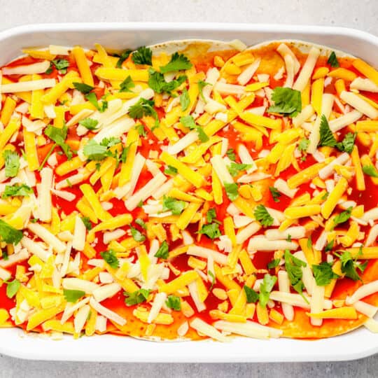 Chicken Tortilla Casserole Recipe - Easy Chicken Recipes
