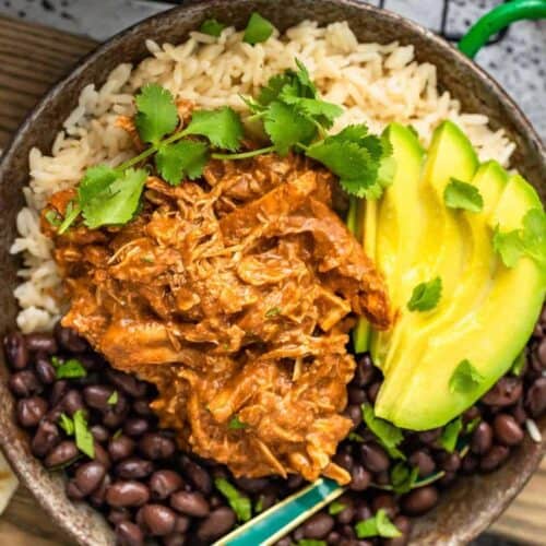 Chicken Mole with Easy Homemade Sauce - Easy Chicken Recipes