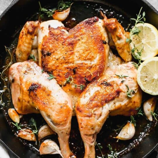 Chicken Under a Brick Recipe - Easy Chicken Recipes