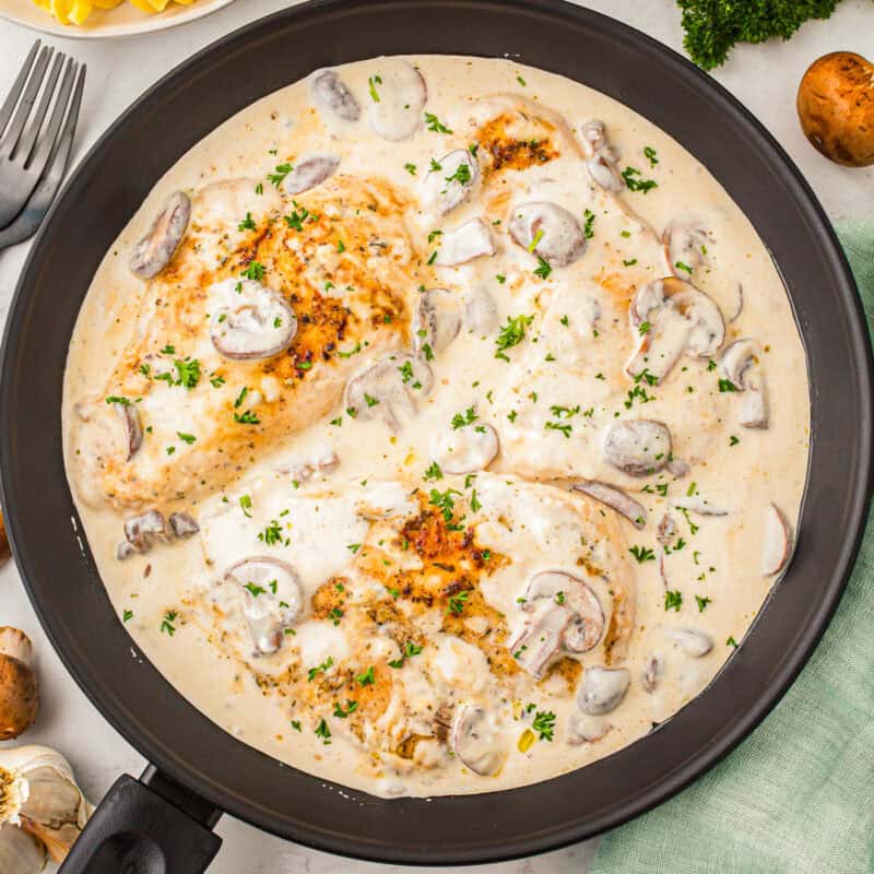 Sour Cream Chicken Recipe - Easy Chicken Recipes
