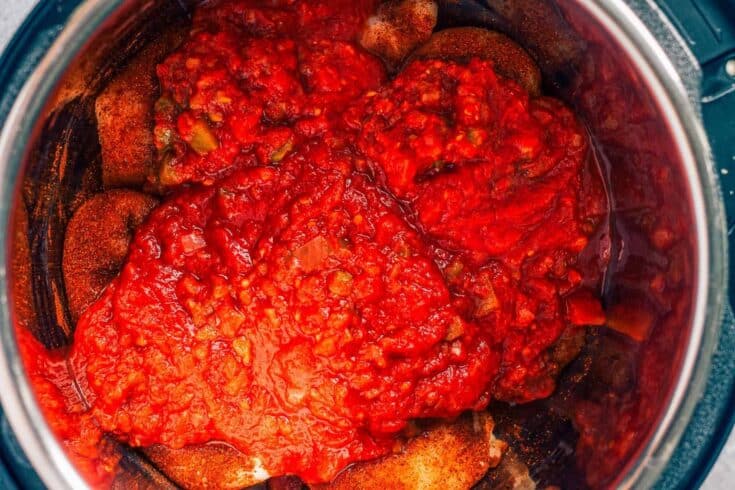 Instant Pot Salsa Chicken Recipe - Easy Chicken Recipes