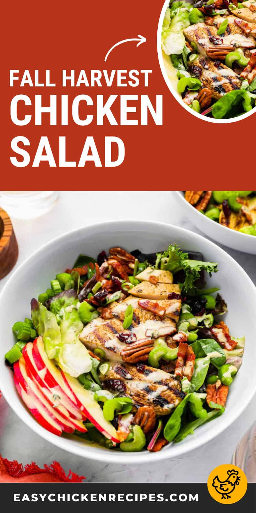 Fall Harvest Chicken Salad Recipe - Easy Chicken Recipes
