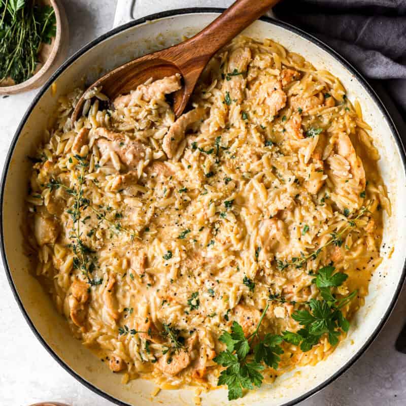 Creamy Chicken Orzo Recipe- Easy Chicken Recipes