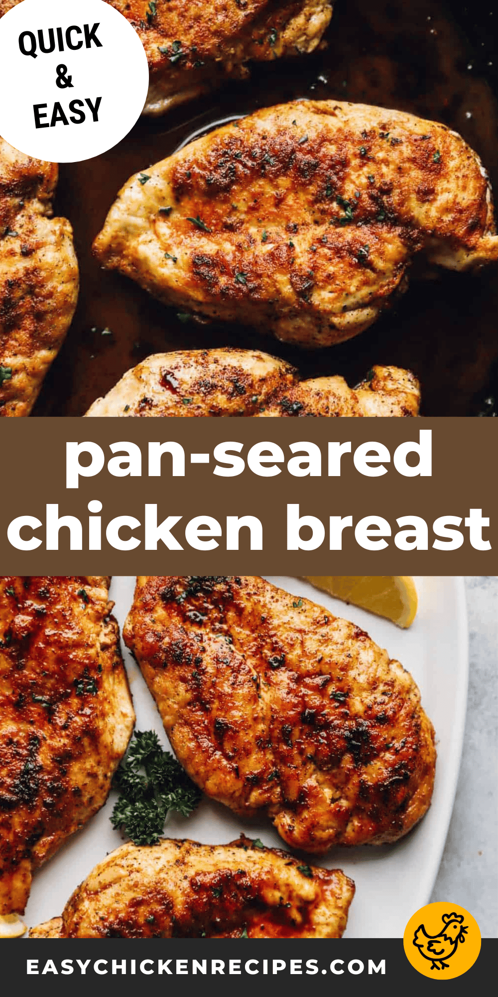 Pan Seared Chicken Breast Recipe - Easy Chicken Recipes