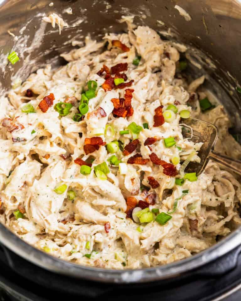 Instant Pot Salsa Chicken Recipe - Easy Chicken Recipes