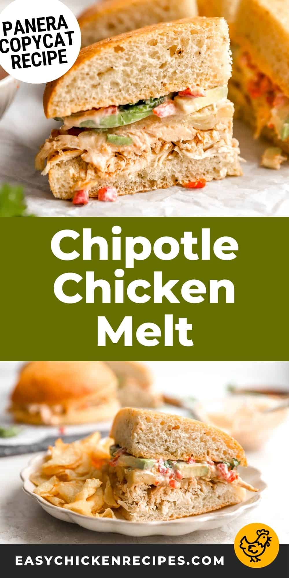 Chipotle Chicken Avocado Melt (Panera Copycat Recipe) - Easy Chicken ...